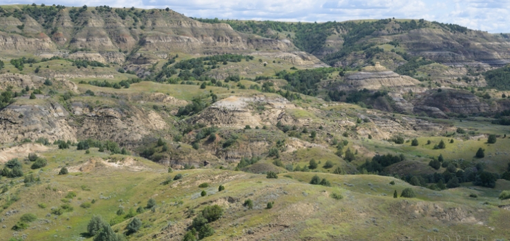 Home | Ethics Commission, North Dakota